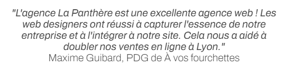 Agence Web design Lyon | La Panthère